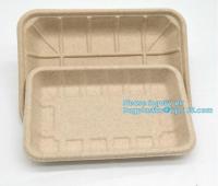China Biodegradable 8 inch Square Sugarcane Bagasse Tray Compostable Serving Plate 500pcs for sale