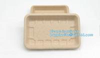 China Biodegradable 8 inch Square Sugarcane Bagasse Tray Compostable Serving Plate 500pcs for sale