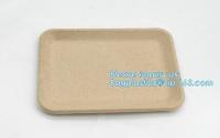 China Biodegradable 8 inch Square Sugarcane Bagasse Tray Compostable Serving Plate 500pcs for sale