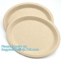 China Biodegradable 5 Compartment Sugarcane Tray 226x140x22mm Compostable Disposable Tableware for sale