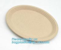 China Biodegradable 5 Compartment Sugarcane Tray 226x140x22mm Compostable Disposable Tableware for sale