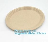 China Biodegradable 5 Compartment Sugarcane Tray 226x140x22mm Compostable Disposable Tableware for sale
