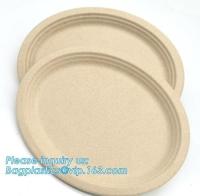 China Biodegradable 5 Compartment Sugarcane Tray 226x140x22mm Compostable Disposable Tableware for sale