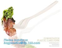 China 6 Inch Biodegradable Corn Starch PLA Spoon Compostable Disposable Cutlery 1000pcs for sale