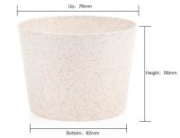China Biodegradable PLA Compostable Cup with Lid 6oz 175ml Eco Friendly Disposable Tableware for sale