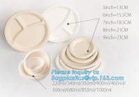 China Ecofriendly Sugarcane Bagasse 10 Inch Round Plates Compostable Biodegradable Disposable Dinnerware for sale