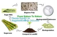 China Ecofriendly Sugarcane Bagasse 10 Inch Round Plates Compostable Biodegradable Disposable Dinnerware for sale