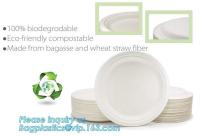 China Ecofriendly Sugarcane Bagasse 10 Inch Round Plates Compostable Biodegradable Disposable Dinnerware for sale
