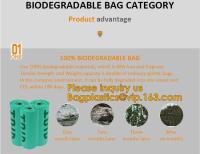 China Compostable Poly Mailer Biodegradable Courier Bag 100% Cornstarch Express Shipping Envelope 45 Days for sale