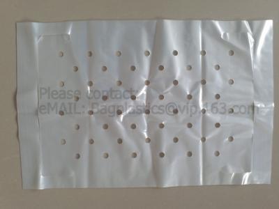 China LDPE SHEET WITH HOLES, wrap, fresh wrap, LDPE film, LDPE sheet, air hole, vent hole for sale