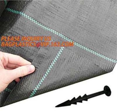 China Application Wide Range mulching film for agriculture pp woven weed barrier for Strawberry,Weed Barrier Fabric,PP woven w for sale