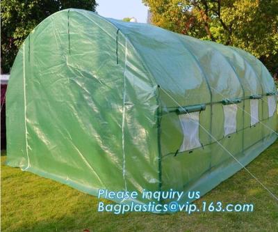 China Strawberry Planting Green House,200 micron UV plastic film for agriculture green house,High safety greenhouse for plants for sale