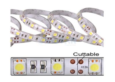 Cina Luce di striscia flessibile impermeabile di IP65 LED DC12V/DC24V 50000 ore di durata in vendita