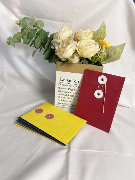 Quality 180gsm Coloured Paper String Envelope Logo Printing for Office Business for sale