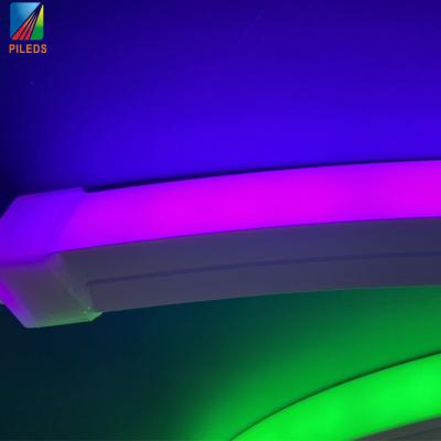 China Custom 12v 24v LED Neon Strip Light , Silicone Flexible Rope Light Ws2811 for sale