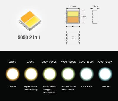 China CCT LED Strip Lights 5050 300 LEDs Warm/White Double Color Temperature Tape Light Strips for Automotive Marine for sale