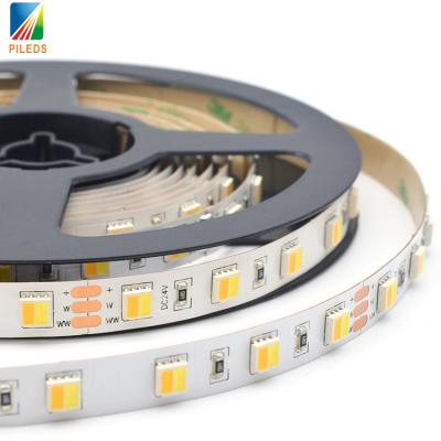 China Fita LED 300 LED DC12V/24V 5050 SMD Dupla Cor 2 em 1 5 Metros Wifi Controlável Endereçável CCT IP20/IP68 à venda