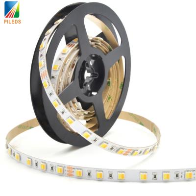 China CCT LED Strip Lights 5050 300 LEDs Warm/White Double Color Temperature Tape Light Strips for Automotive Marine for sale