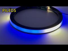 Unique Black Silicone LED Neon Strip 20*20mm SPI-RGB Dotless Waterproof IP67 LED Neon Flex Rope Light for Club Landscape