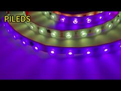 SPI Slimme Strip Licht DC24V SMD5050 RGB USB Flexibele LED Wall Washer 48LEDs/m IP20 IP67 Lens Serie Adresbaar DMX Nieuwe Versie