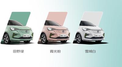 China Small SUV Electric Car with 5 Seats and 310km Endurance Changan Ou Shang Ben E-ster for sale