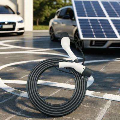 China Electric Vehicle Charging Cable for BYD General Purpose Vehicle in Customized Color for sale