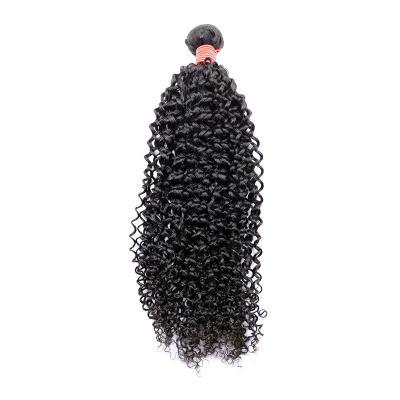 China Trama encaracolado perverso personalizada do cabelo de Remy da extensão do Weave do cabelo humano da cor para mulheres negras à venda