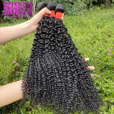 Cina Pacco peruviano dei capelli crespi dei capelli umani di Jerry di estensione peruviana vergine morbida dei capelli ricci in vendita