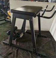 China Muscle Leg Exercise Strength Training Equipment Press Plate Loaded Reverse Hyper Machine for sale