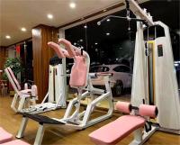 China Steel Long Pull Machine for Chest Shoulder Back Arms Exercise 2.3*1*2.4 Medium Loader for sale