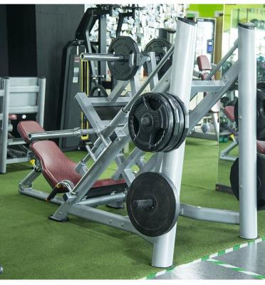 China Universal Function Plate geladen Lineaire Leg Press Hack Squat voor krachttraining Te koop