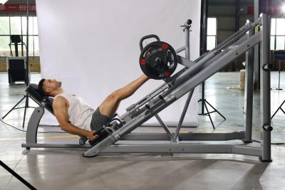 China Universal Function Plate geladen Lineaire Leg Press Hack Squat voor krachttraining Te koop