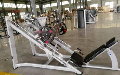 China Universal Function Plate geladen Lineaire Leg Press Hack Squat voor krachttraining Te koop