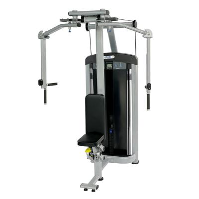 Cina Commercial Fitness Gym Pin Loaded Pectoral Fly Machine per Delt Rear e Chest Fly in vendita