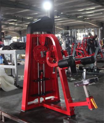 Cina Trainer funzionale per il bodybuilding Fitness Pin Load Selection Gym Home Trainer Machine in vendita
