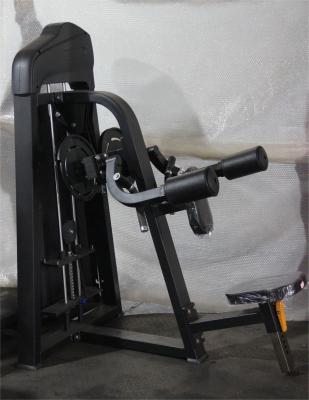 Cina Trainer funzionale per il bodybuilding Fitness Pin Load Selection Gym Home Trainer Machine in vendita