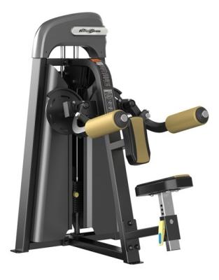 Cina Trainer funzionale per il bodybuilding Fitness Pin Load Selection Gym Home Trainer Machine in vendita