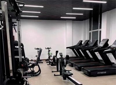 China Treinador de treino cardiovascular interior com cinto de corrida 580*3460mm e material metálico à venda