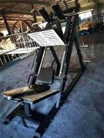 China Adjustable Dual Function Leg Press Plate Loaded Hack Squat Machine for Commercial Gym for sale