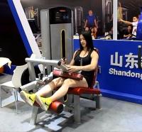 China Medium Loader Adjustable Steel Leg Curl Machine Adjustable Seat for Calf Exercise for sale