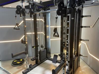 Cina Unisex Commercial Multi-Functional All-In-One Strength Training Station con palestra a domicilio in vendita