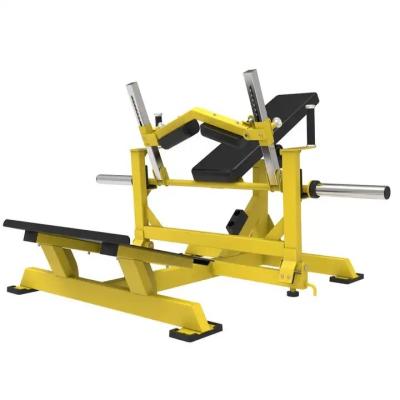 Cina Sperimenta la potenza della macchina per il glute per l' allenamento della forza in vendita