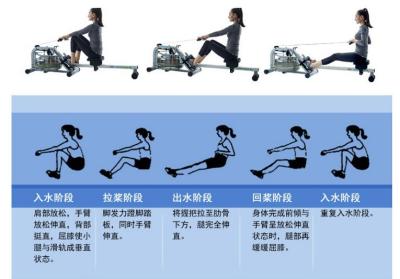 China Unisex 35kg Indoor Folding Seated Air Rowing Machine Top Choice for Cardio Workouts for sale
