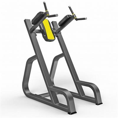 Cina Attrezzature di ginnastica verticali con design personalizzato e materiale in acciaio in vendita