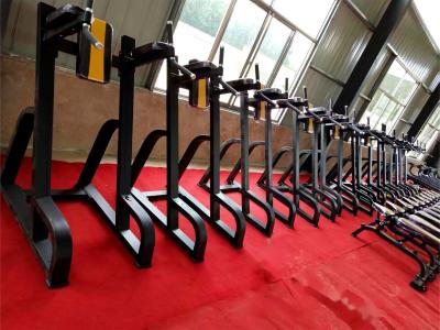 Cina Attrezzature di ginnastica verticali con design personalizzato e materiale in acciaio in vendita