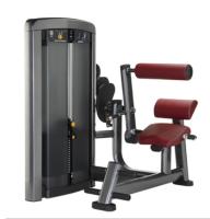 China Direct Seated Back Extension Trainer for Muscle Strength Training Pin Load Selection for sale