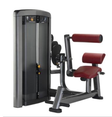 Cina Diretto seduto back extension trainer per l' allenamento della forza muscolare Pin Selezione del carico in vendita
