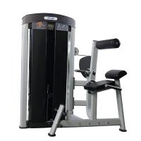 China Direct Seated Back Extension Trainer for Muscle Strength Training Pin Load Selection for sale