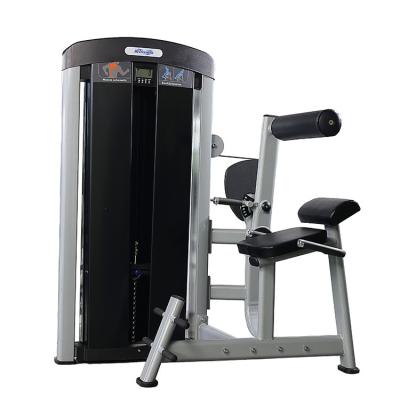 Cina Diretto seduto back extension trainer per l' allenamento della forza muscolare Pin Selezione del carico in vendita
