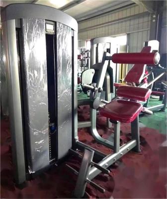 Cina Diretto seduto back extension trainer per l' allenamento della forza muscolare Pin Selezione del carico in vendita